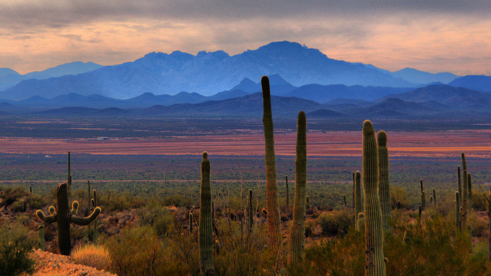 Sunset Limited Train | Amtrak