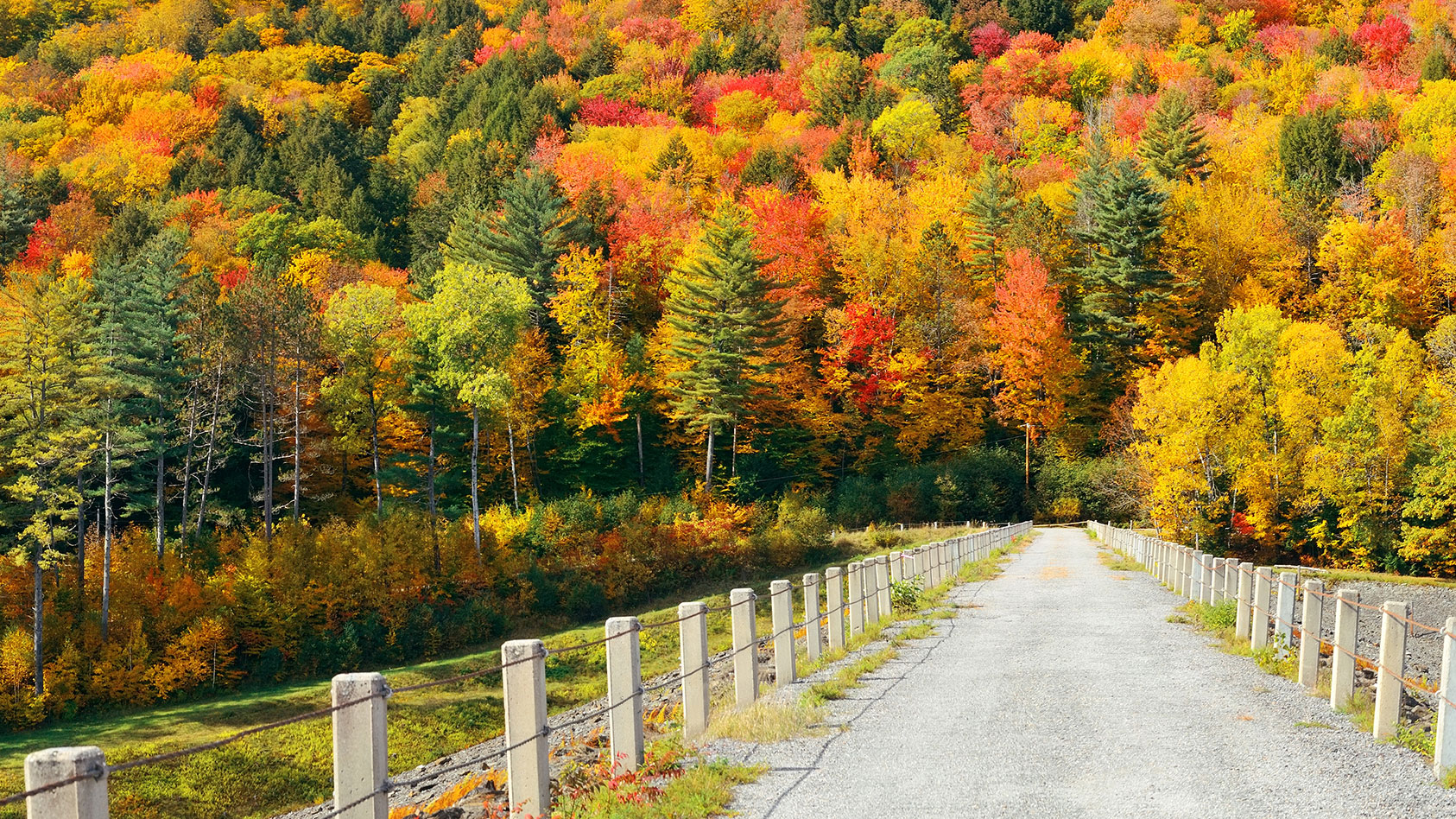 Vermonter Train | Amtrak