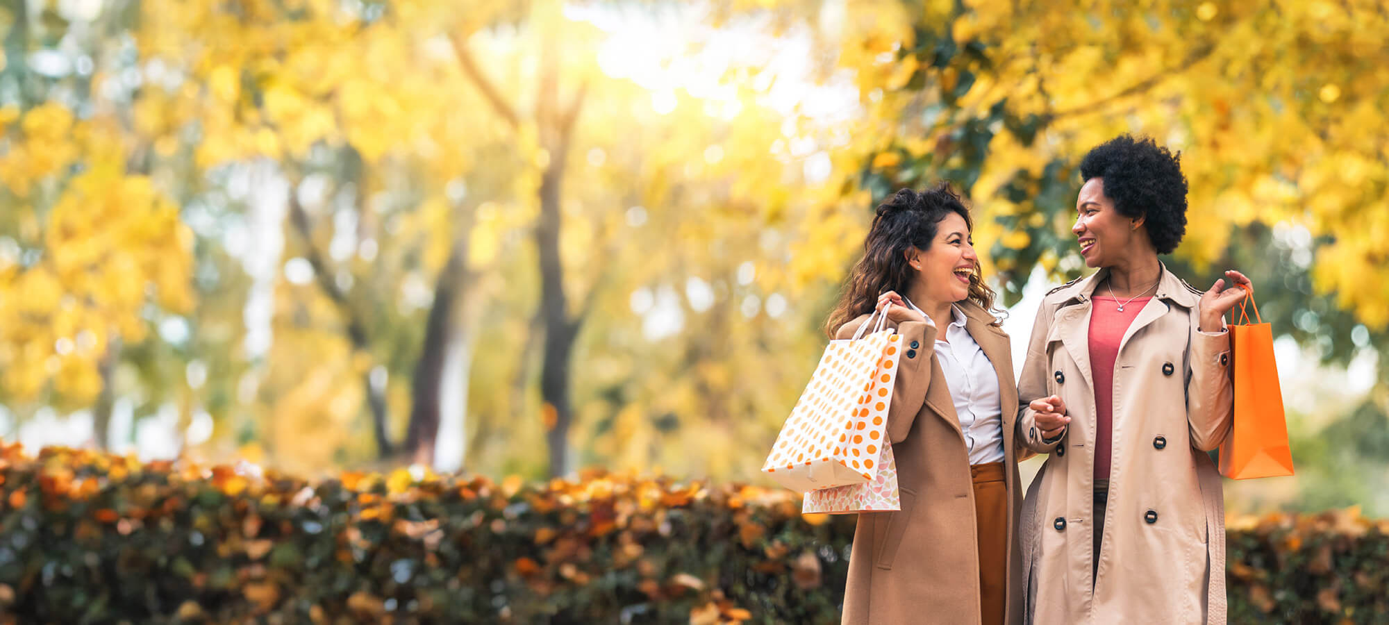 Buy & Transfer Points | Amtrak Guest Rewards