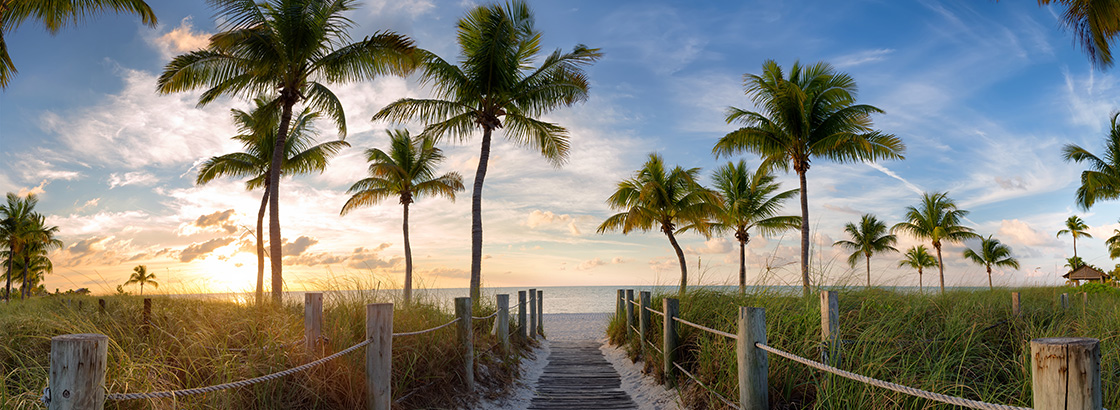 La Mejor Manera de Viajar a Florida es en Tren | Amtrak